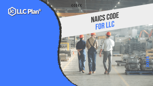 NAICS Code for LLCs - LLC Plan